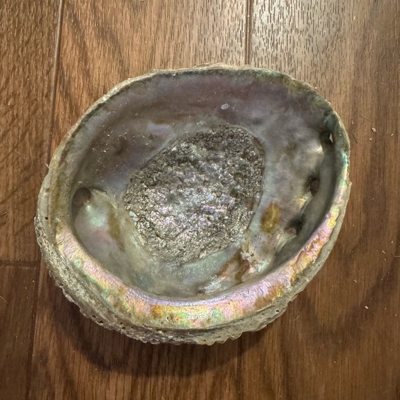 Accents | Iridescent Abalone Shell | Poshmark